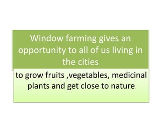 Window farming | PPTX | Gardening | Home & Garden