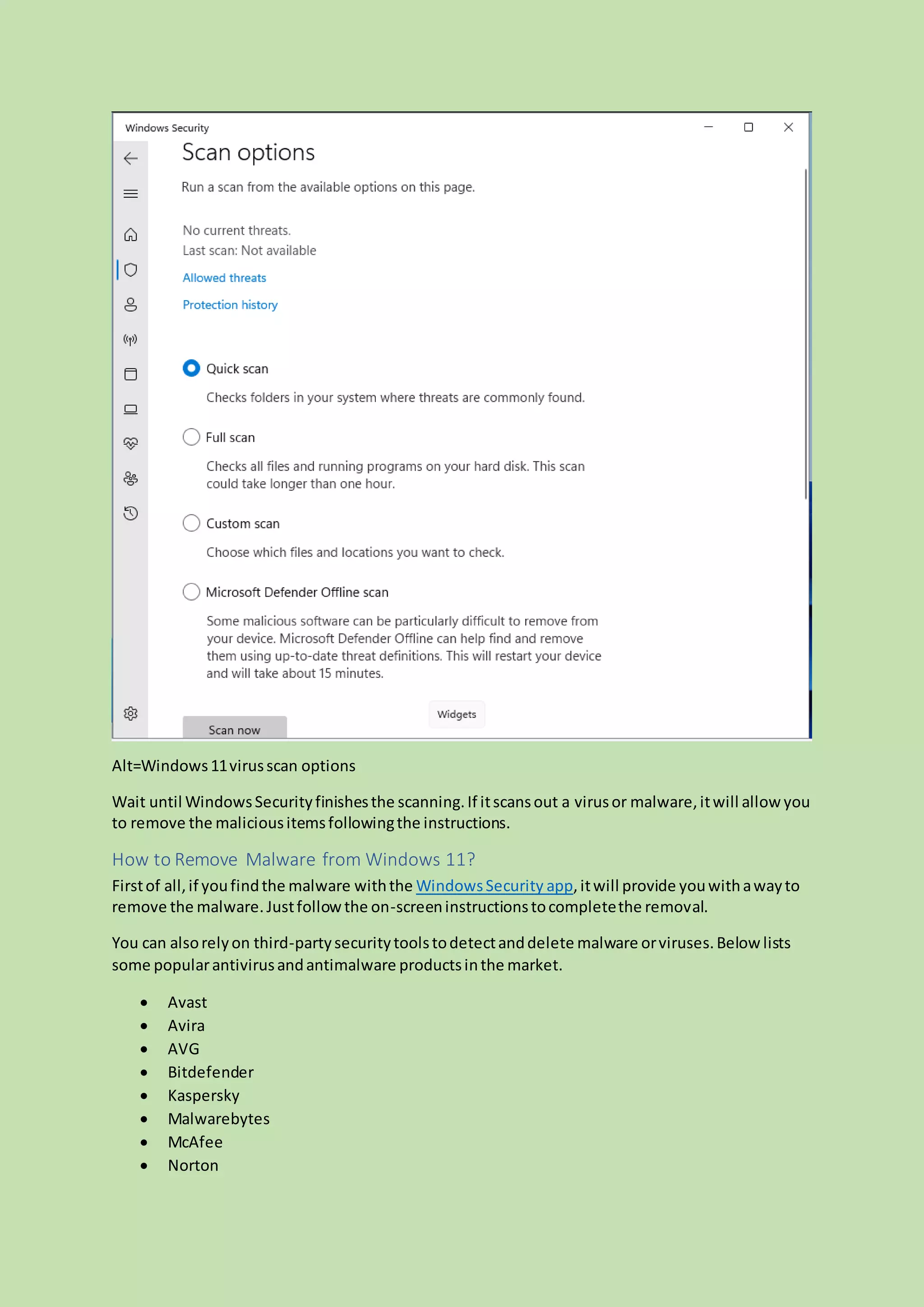 Windows 11 virus | DOCX