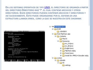 Windows DIRECTORIO | PPTX