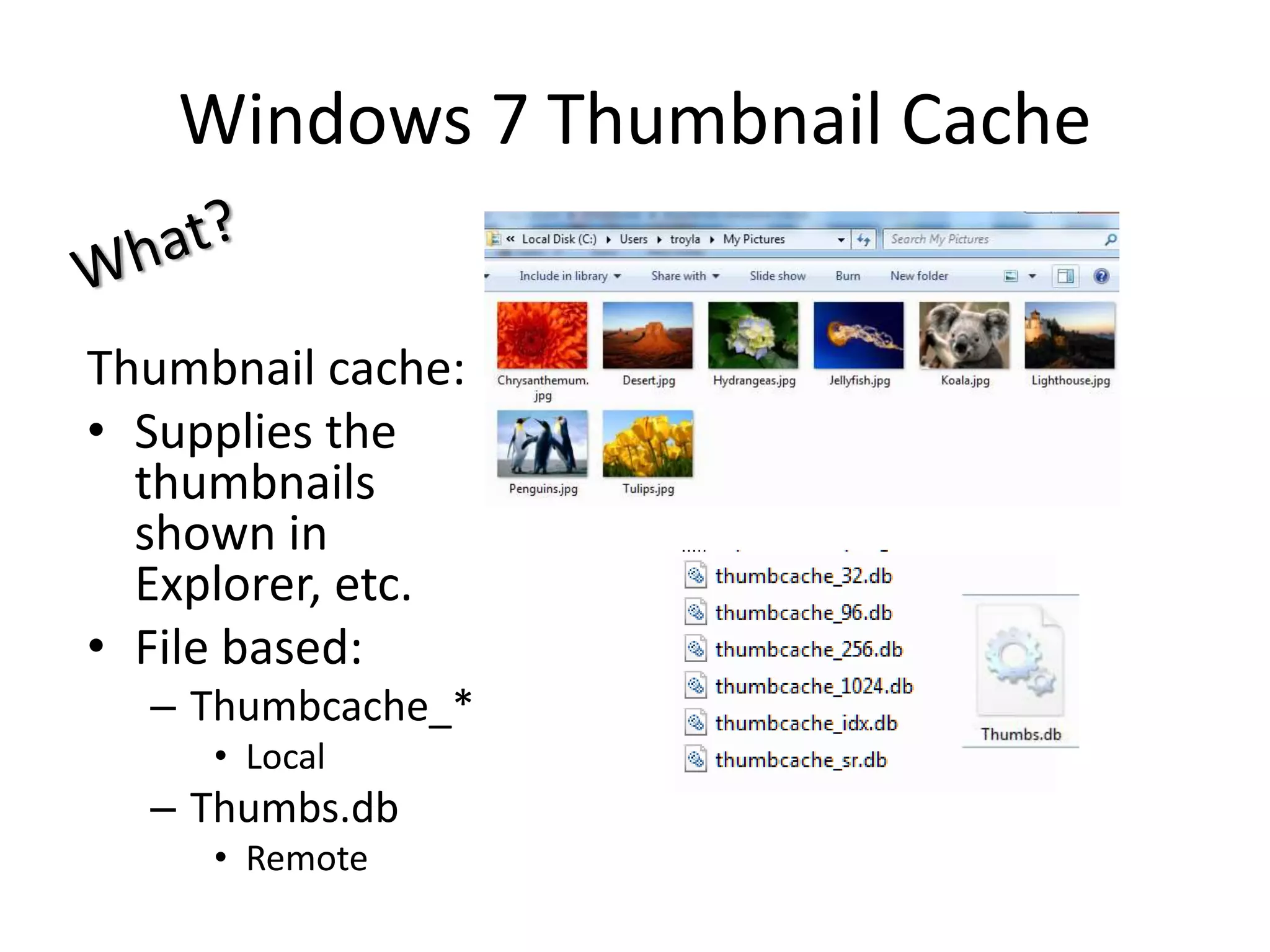 Windows 7 forensics thumbnail-dtl-r4 | PPTX | Operating Systems | Computer Software and Applications
