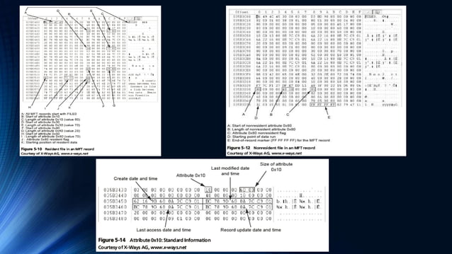 Windows File Systems | PPTX | Operating Systems | Computer Software and Applications