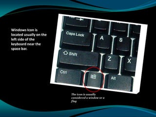 Windows icon | PDF