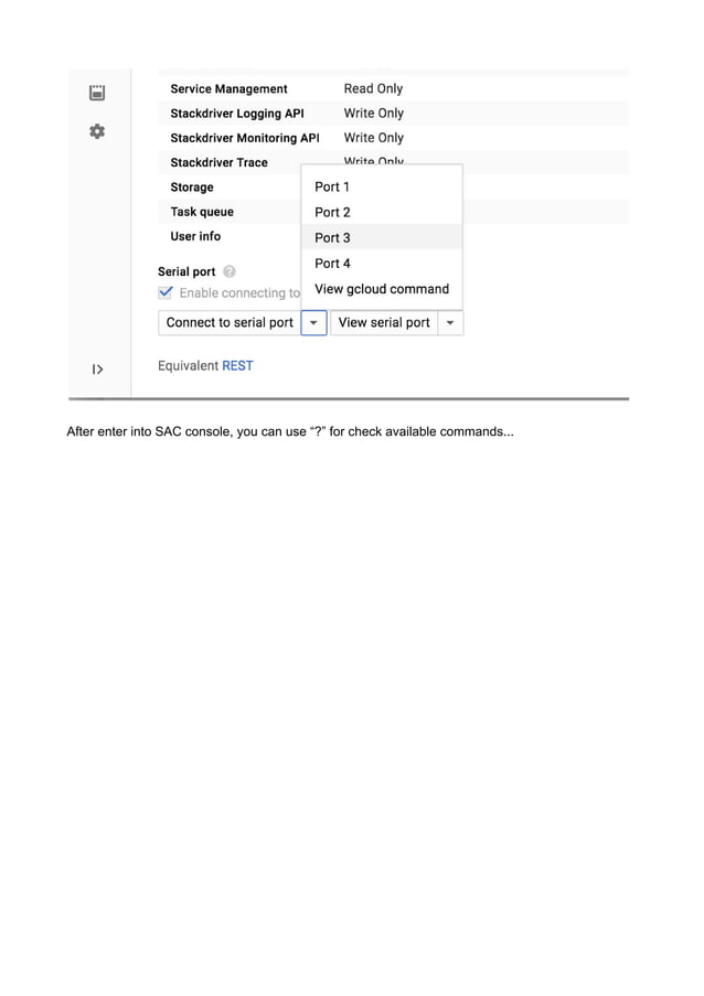 Gce Windows Serial Console Usage Guide Pdf