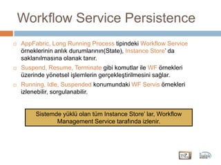 Windows Server App Fabric Introduction | PPT