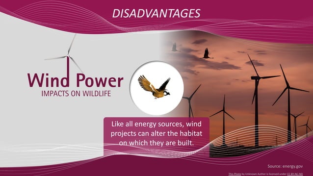 Wind Power Pros and Cons | PDF