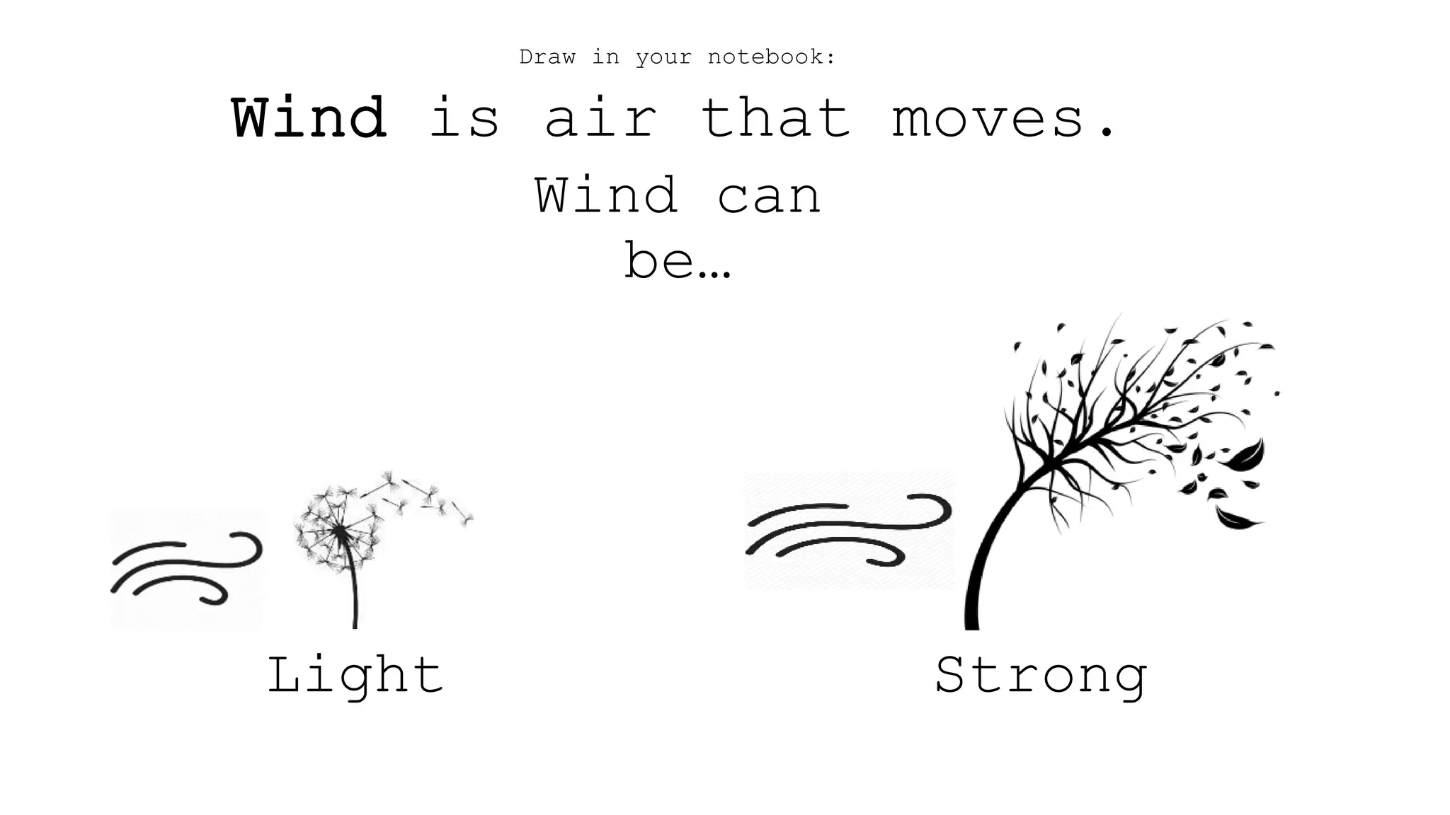 Wind & rain | PPTX