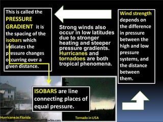 WIND REPORT.pptx