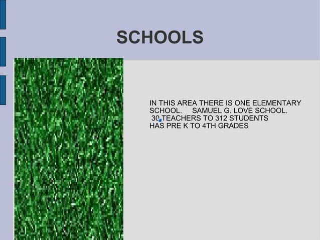 Windshield survey | PPT