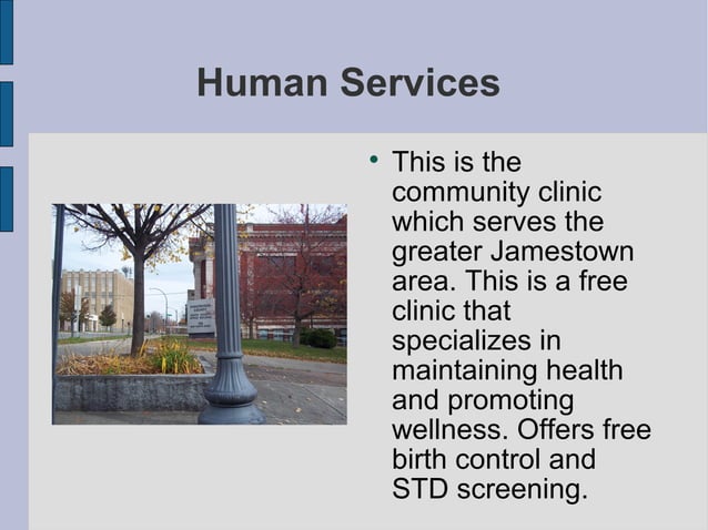 Windshield survey | PPT