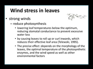 Wind stress | PPTX