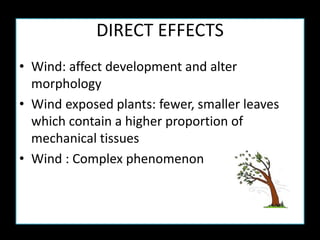 Wind stress | PPTX