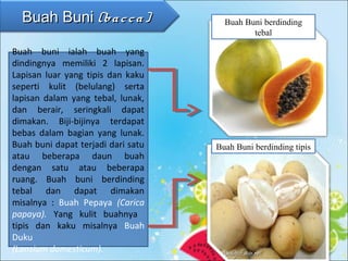 BUAH (FRUCTUS) | PPT