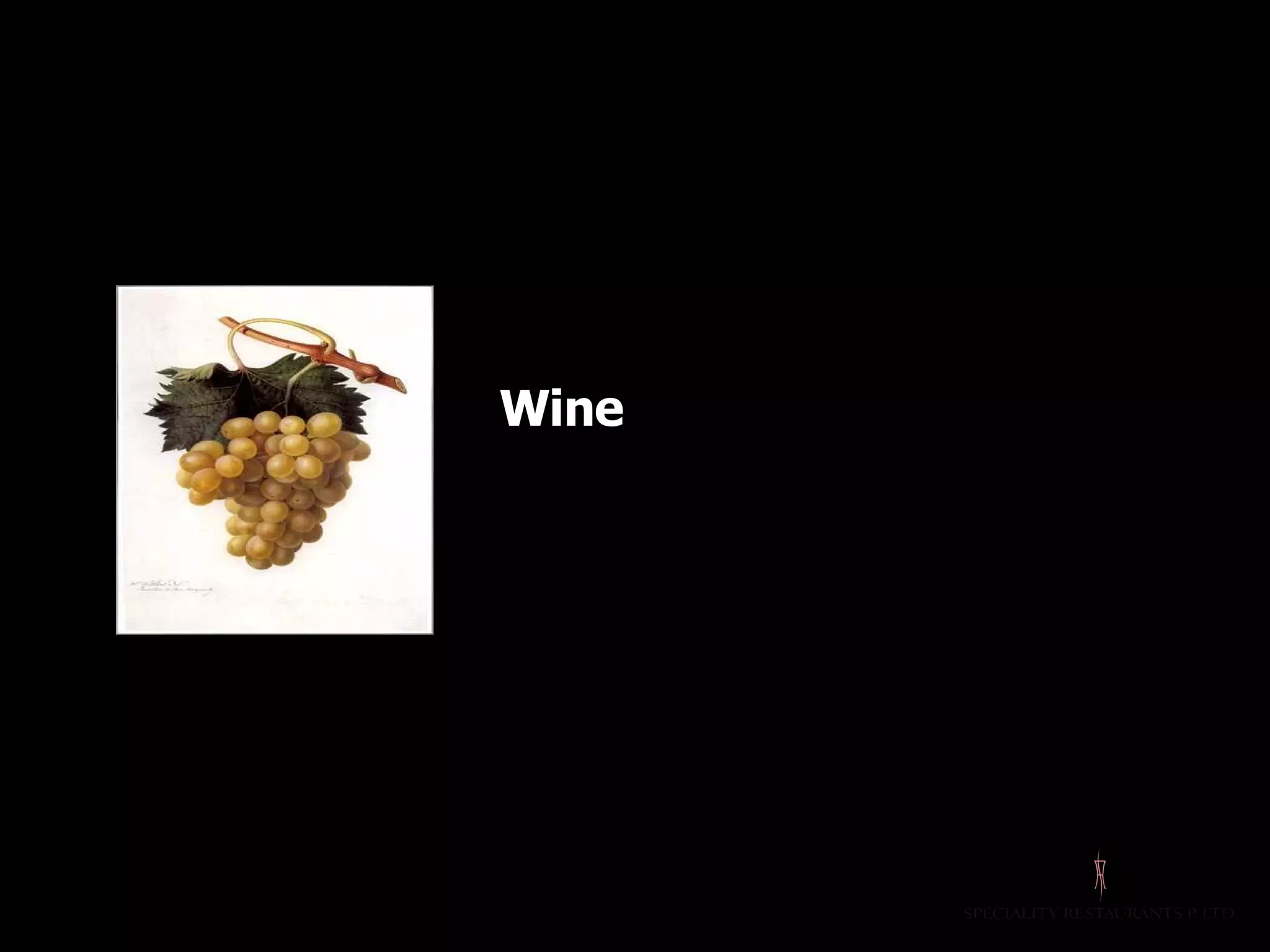 Wine | PPT