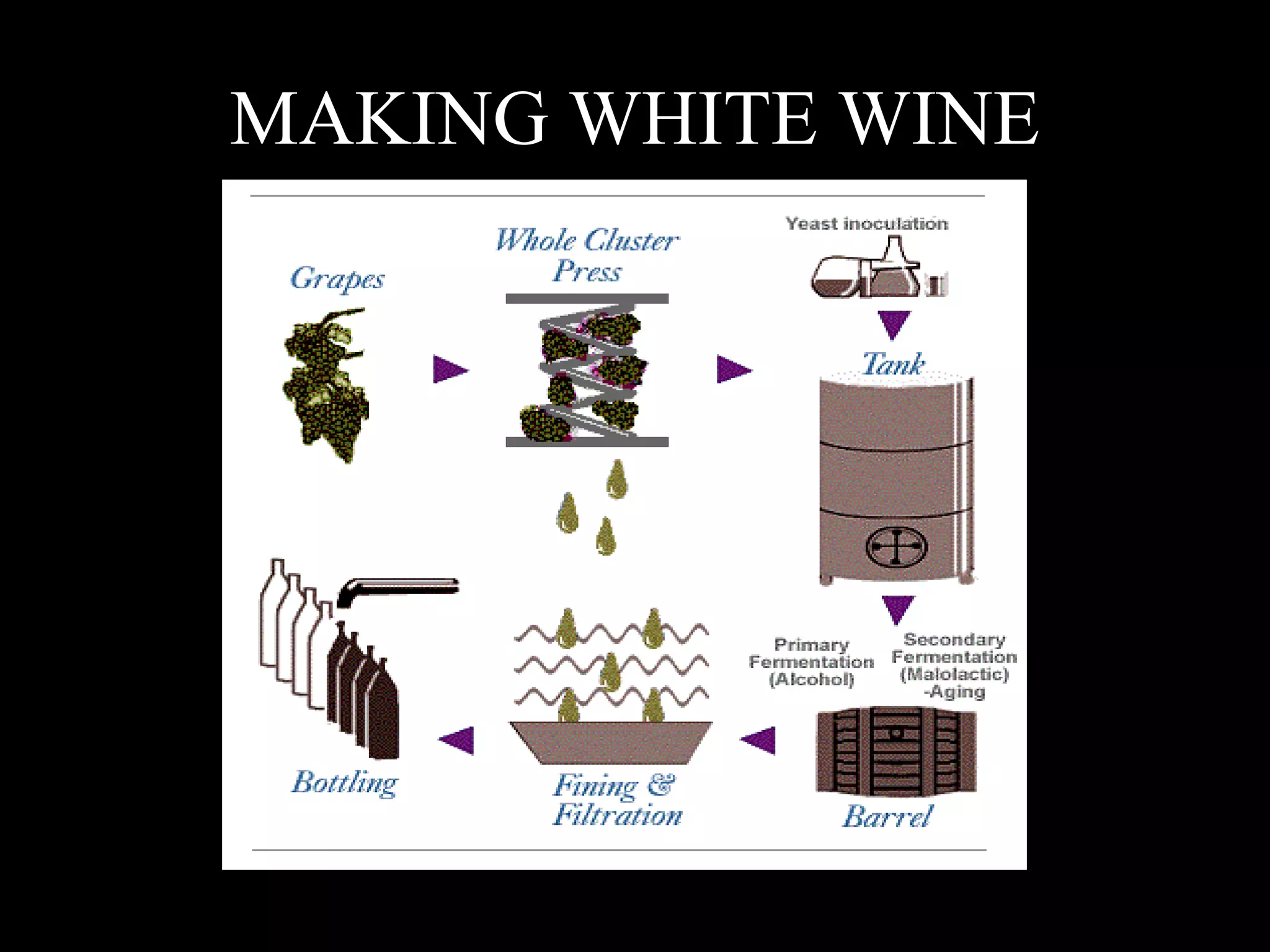 Wine | PPT