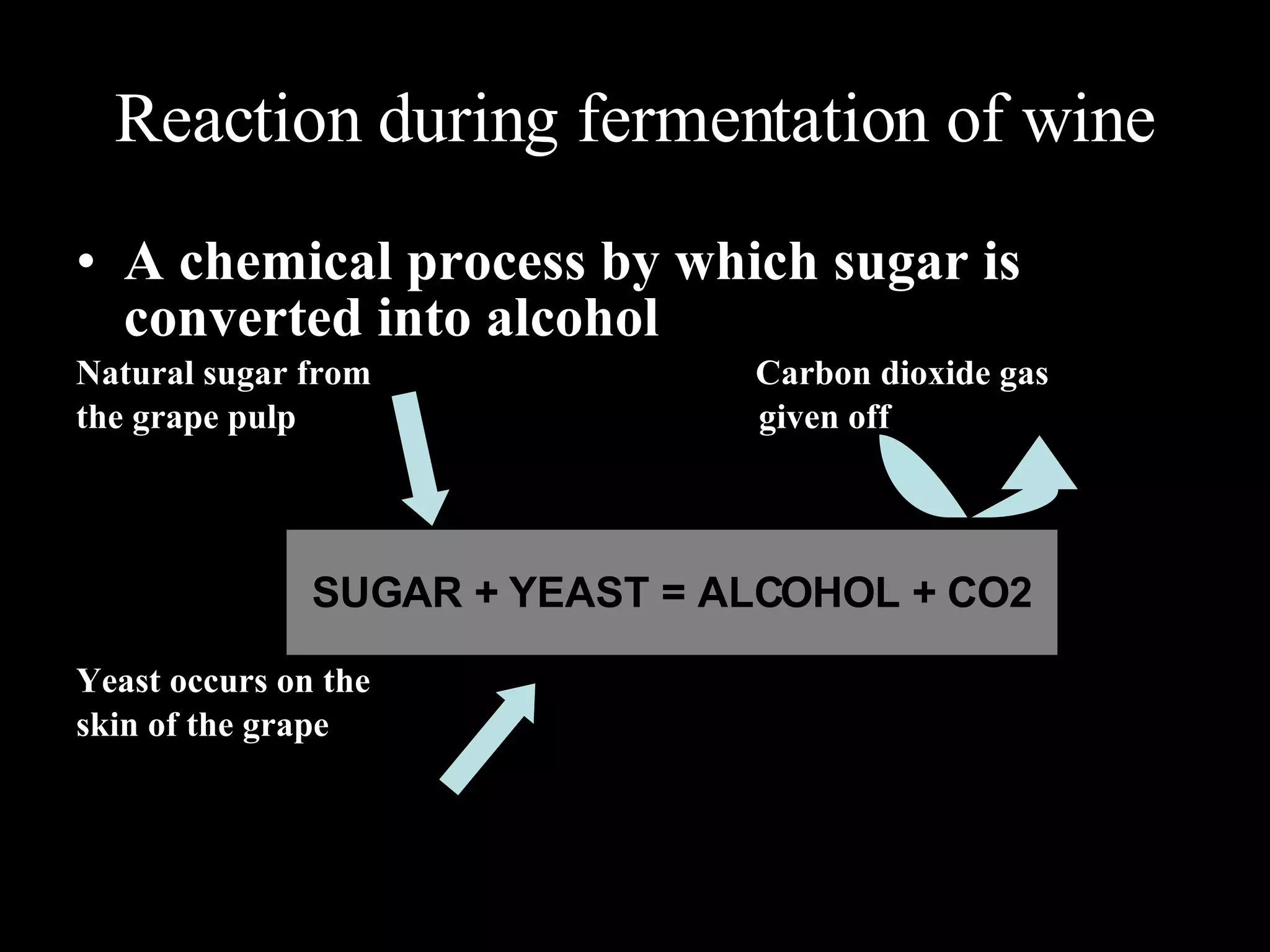 Wine | PPT