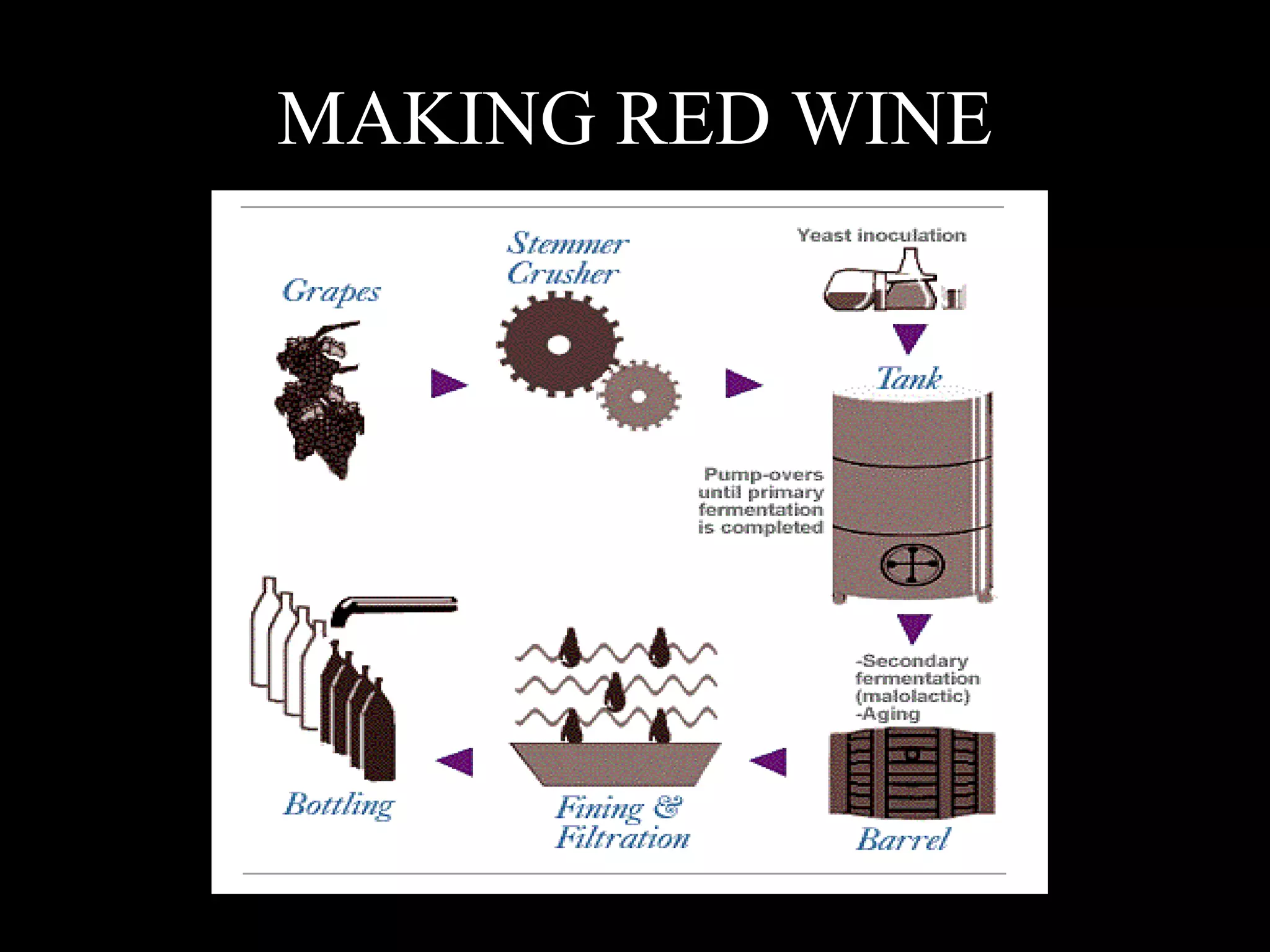Wine | PPT
