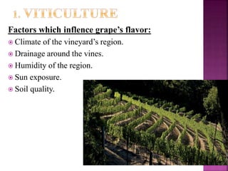 Wine | PPTX