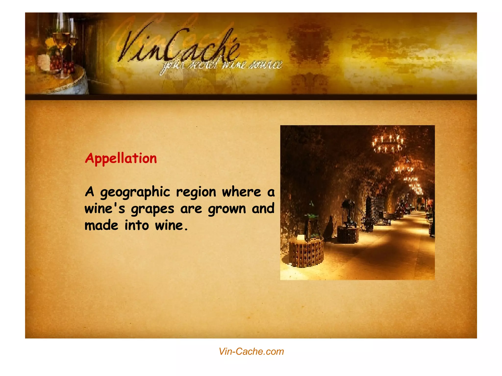 Wine Terms You Should Know | PPT