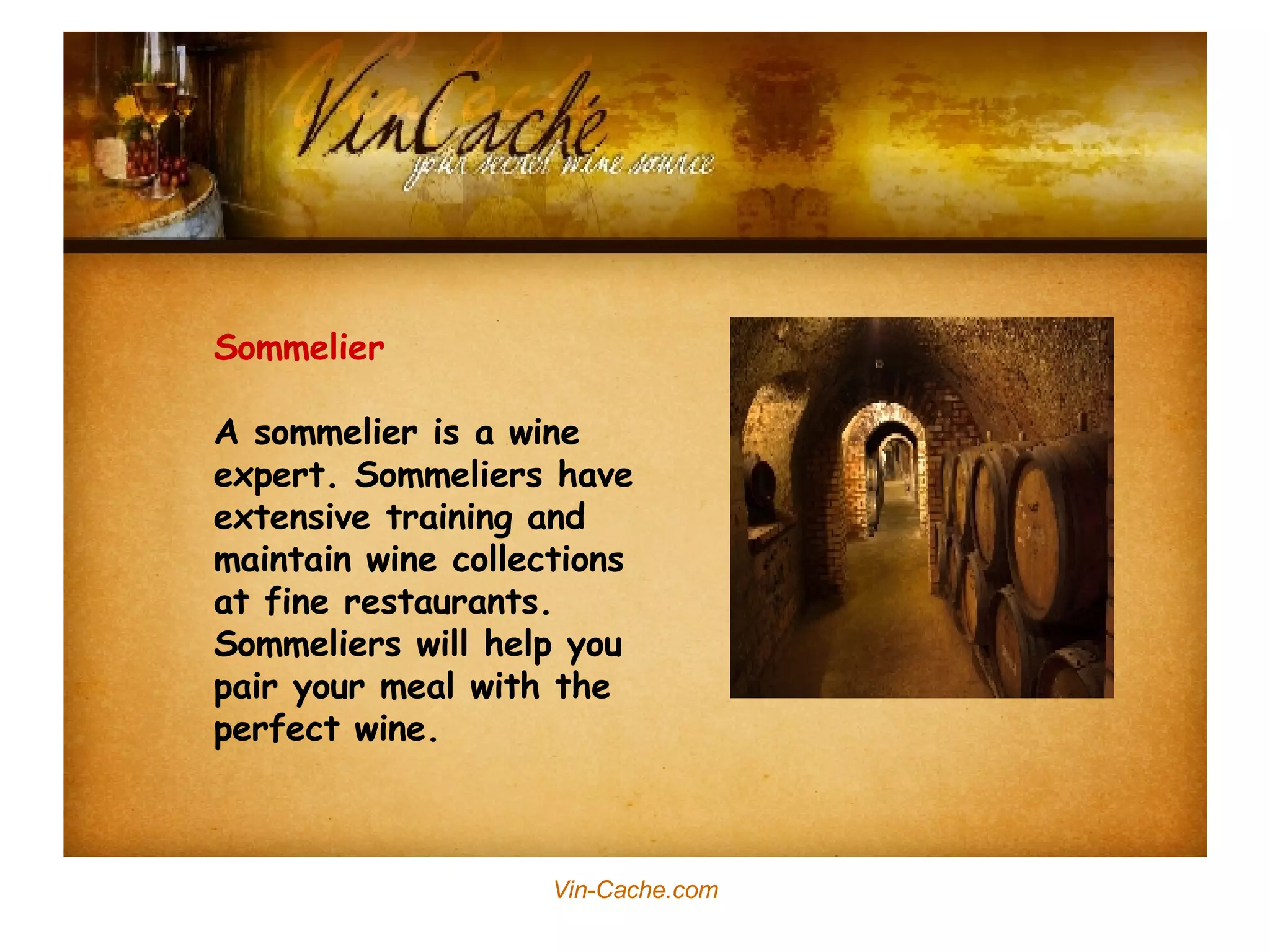 Wine Terms You Should Know | PPT