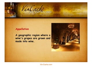 Wine Terms You Should Know | PPT