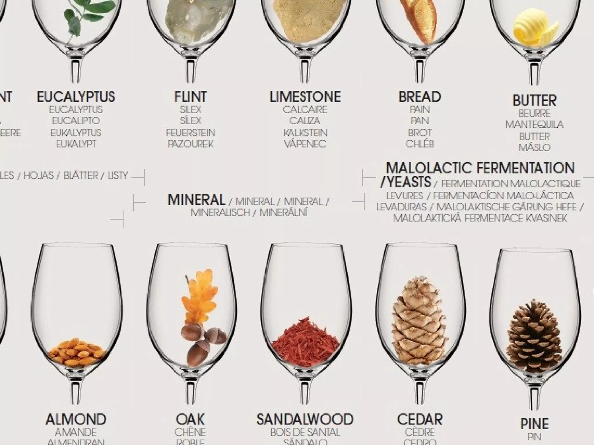 Wine Aromas | PPT