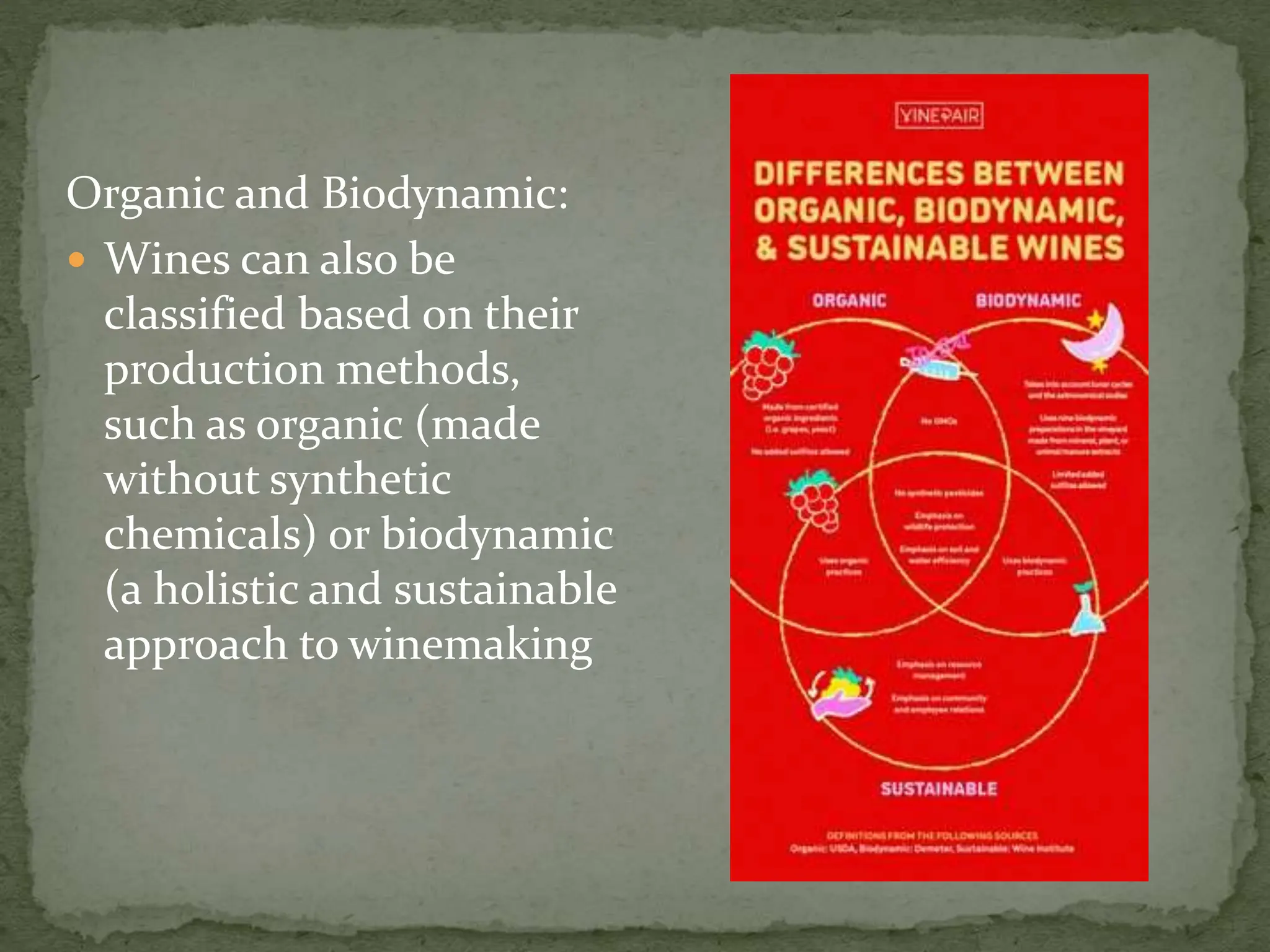 WINE classification.pptx