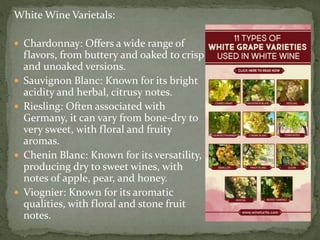 WINE classification.pptx