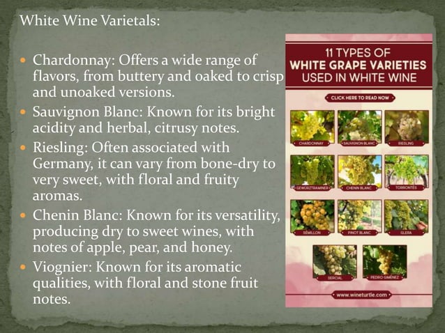 WINE classification.pptx | Alcoholic Beverages | Food & Drink