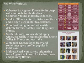 WINE classification.pptx