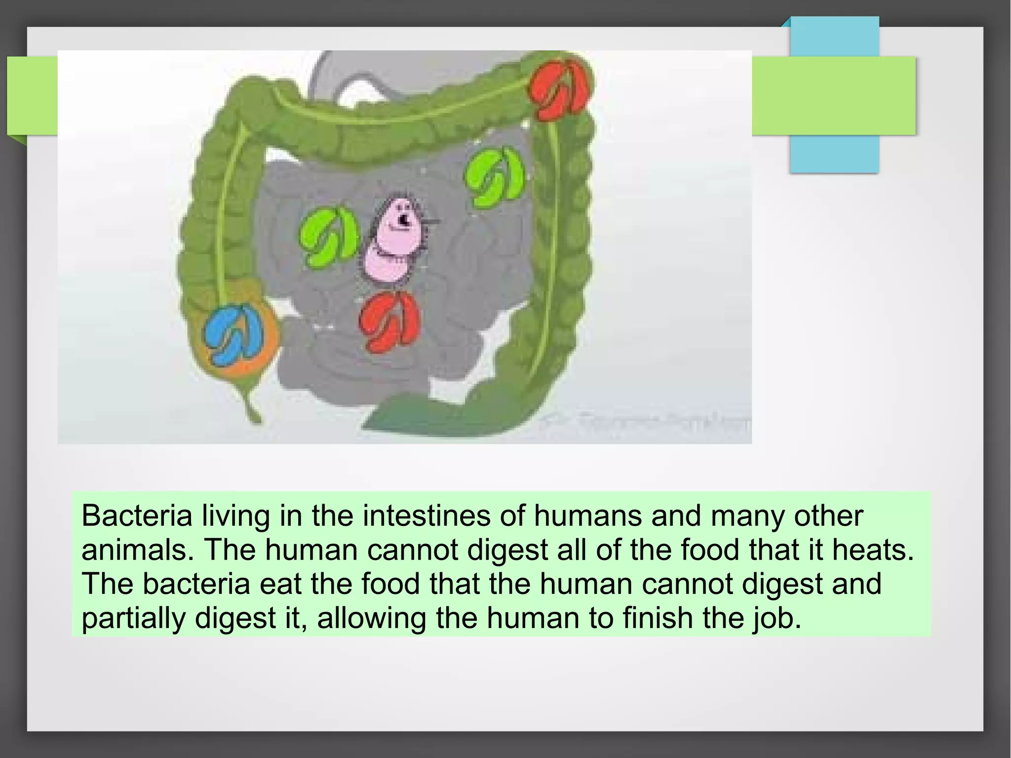Ecological Interactions - Mutualism, Commensalism & Neutralism | PPT