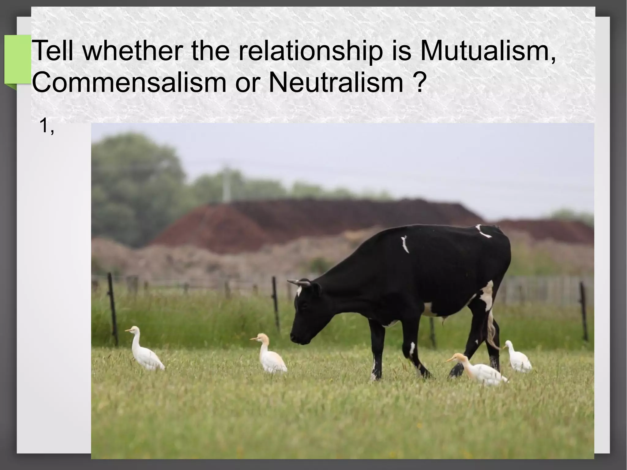 Ecological Interactions - Mutualism, Commensalism & Neutralism | PPT
