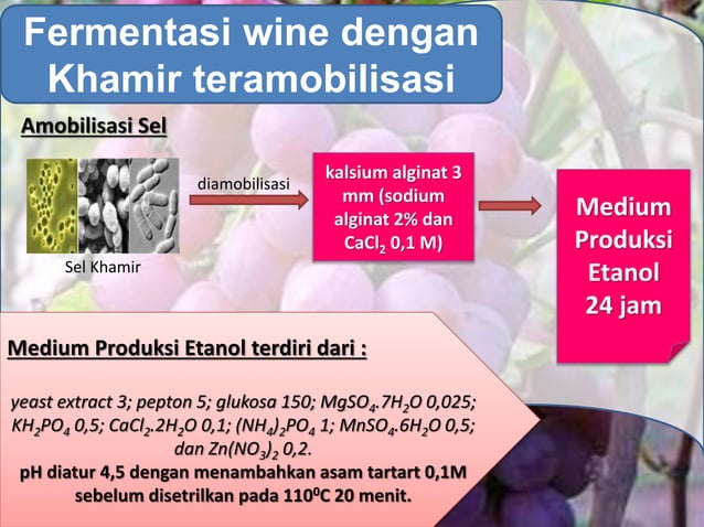 presntation winekakjakjldlsadmslkdmsldmsldms | PPT presntation winekakjakjldlsadmslkdmsldmsldms | PPT