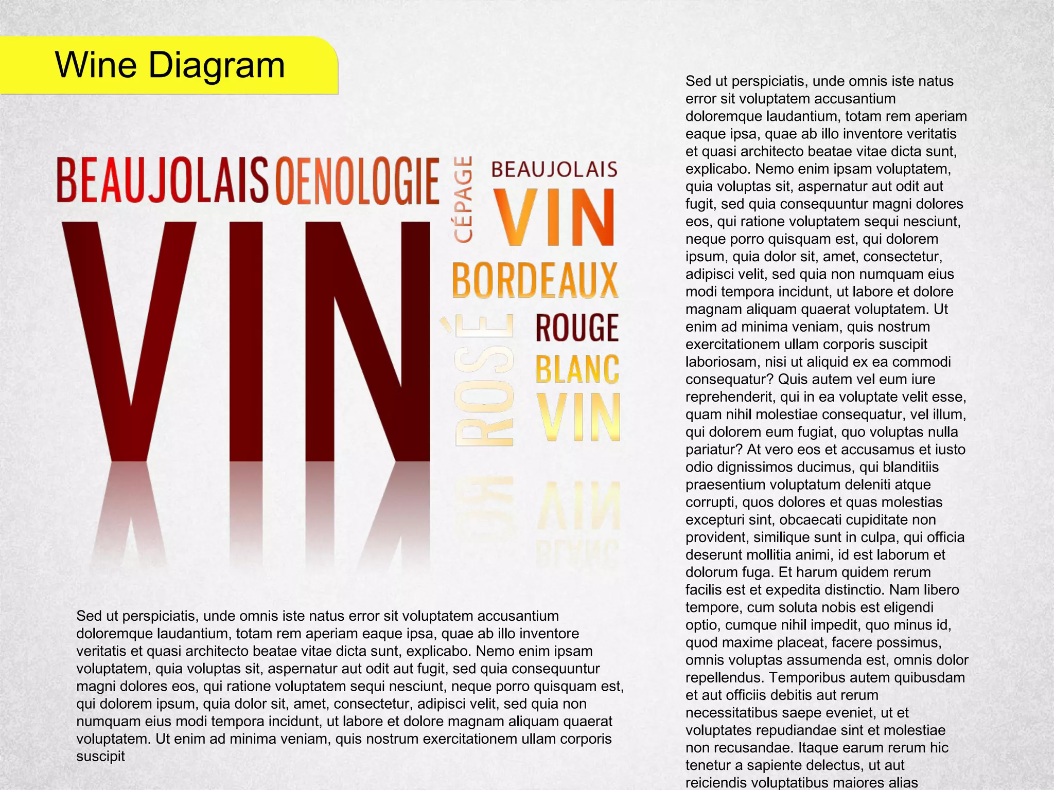Wine Diagram for PowerPoint | PPT