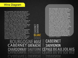 Wine Diagram for PowerPoint | PPT