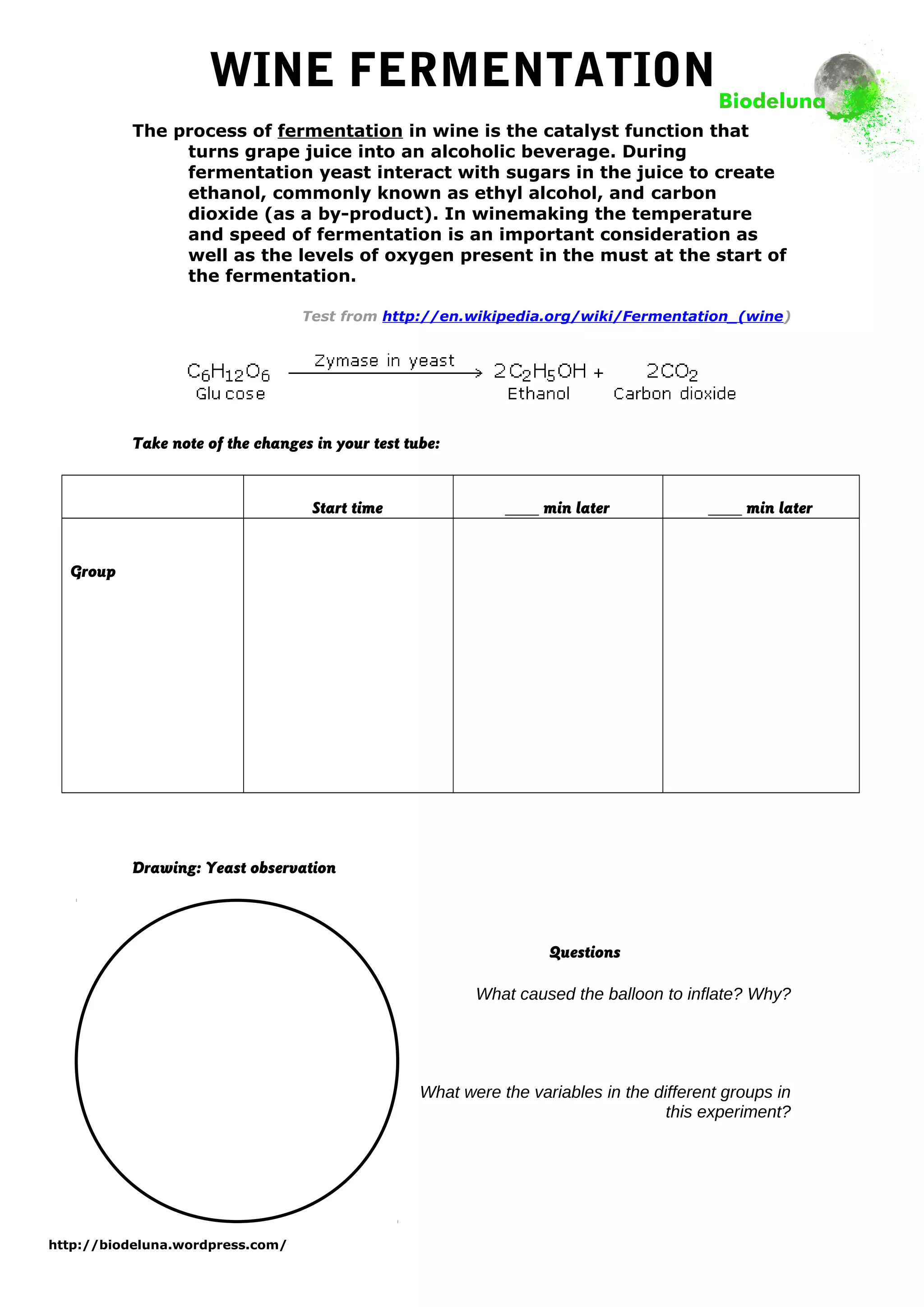 Wine fermentation 2010biodeluna | DOC