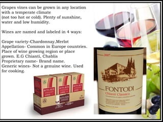 Wine for beginners | PPTX