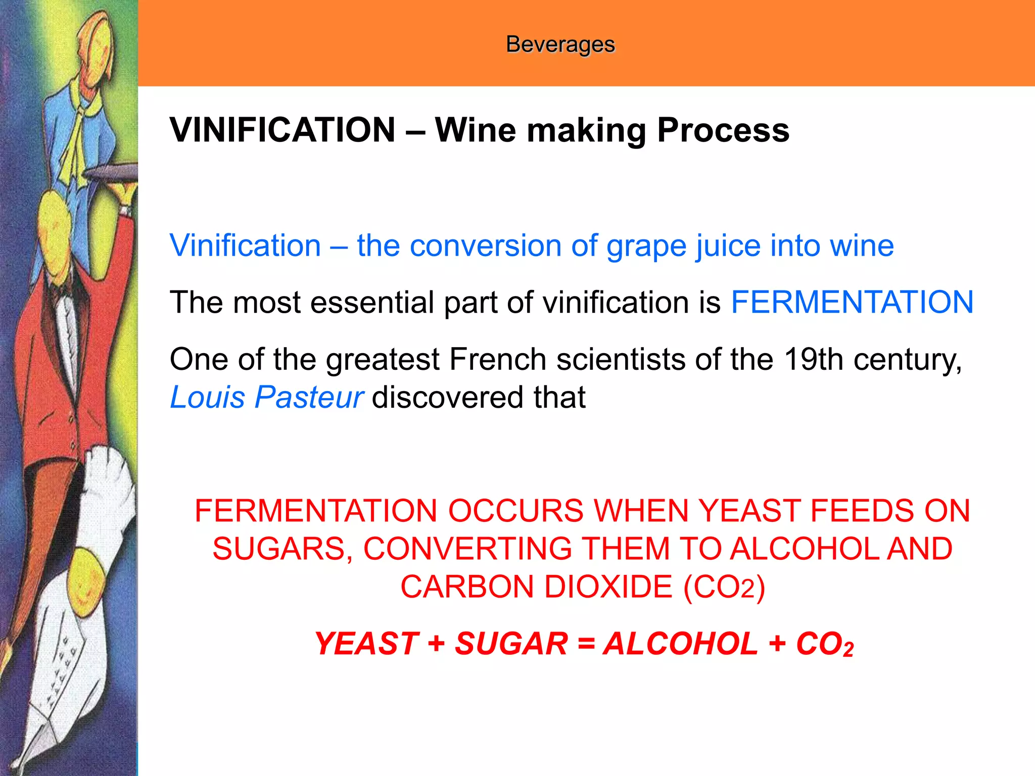 Wine presentation | PPTX