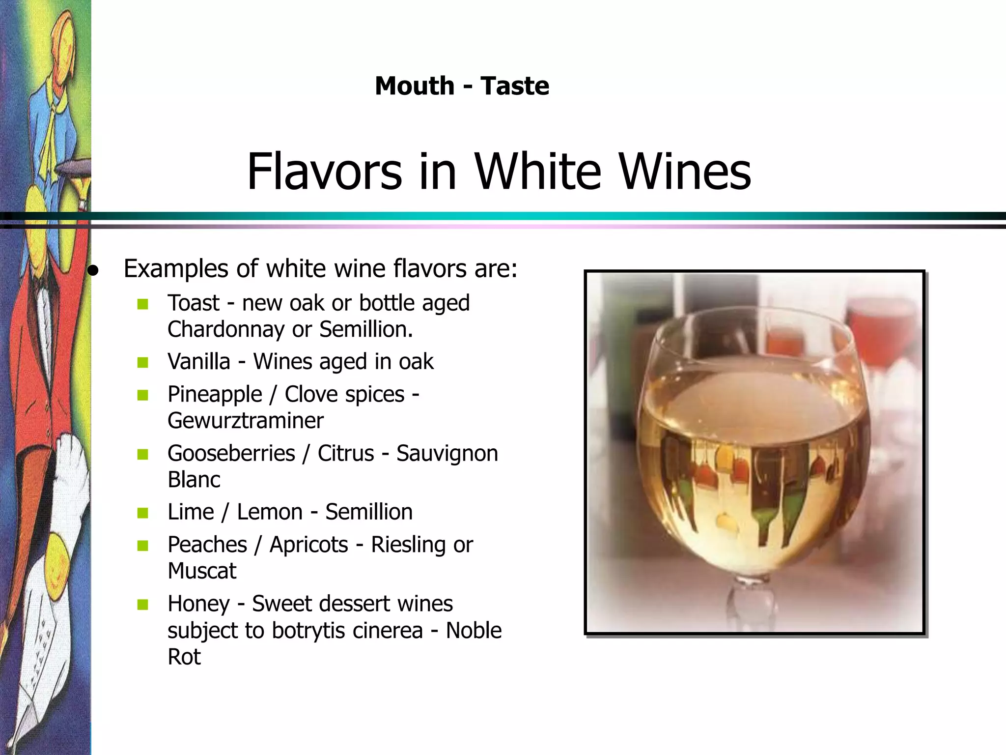 Wine presentation | PPTX