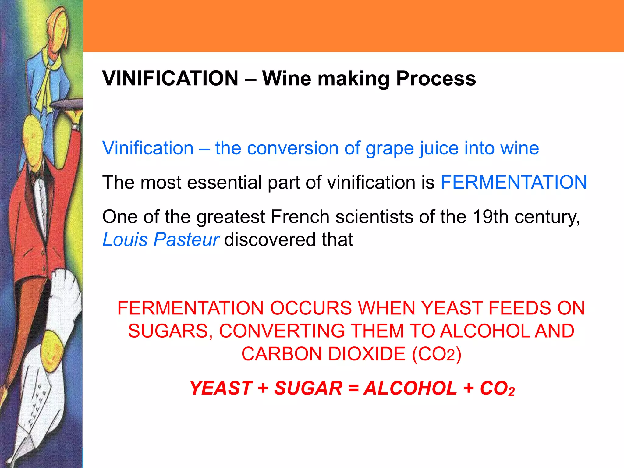 Wine presentation ag2 | PPTX