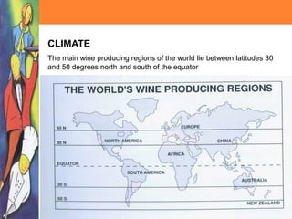Wine presentation ag2 | PPTX