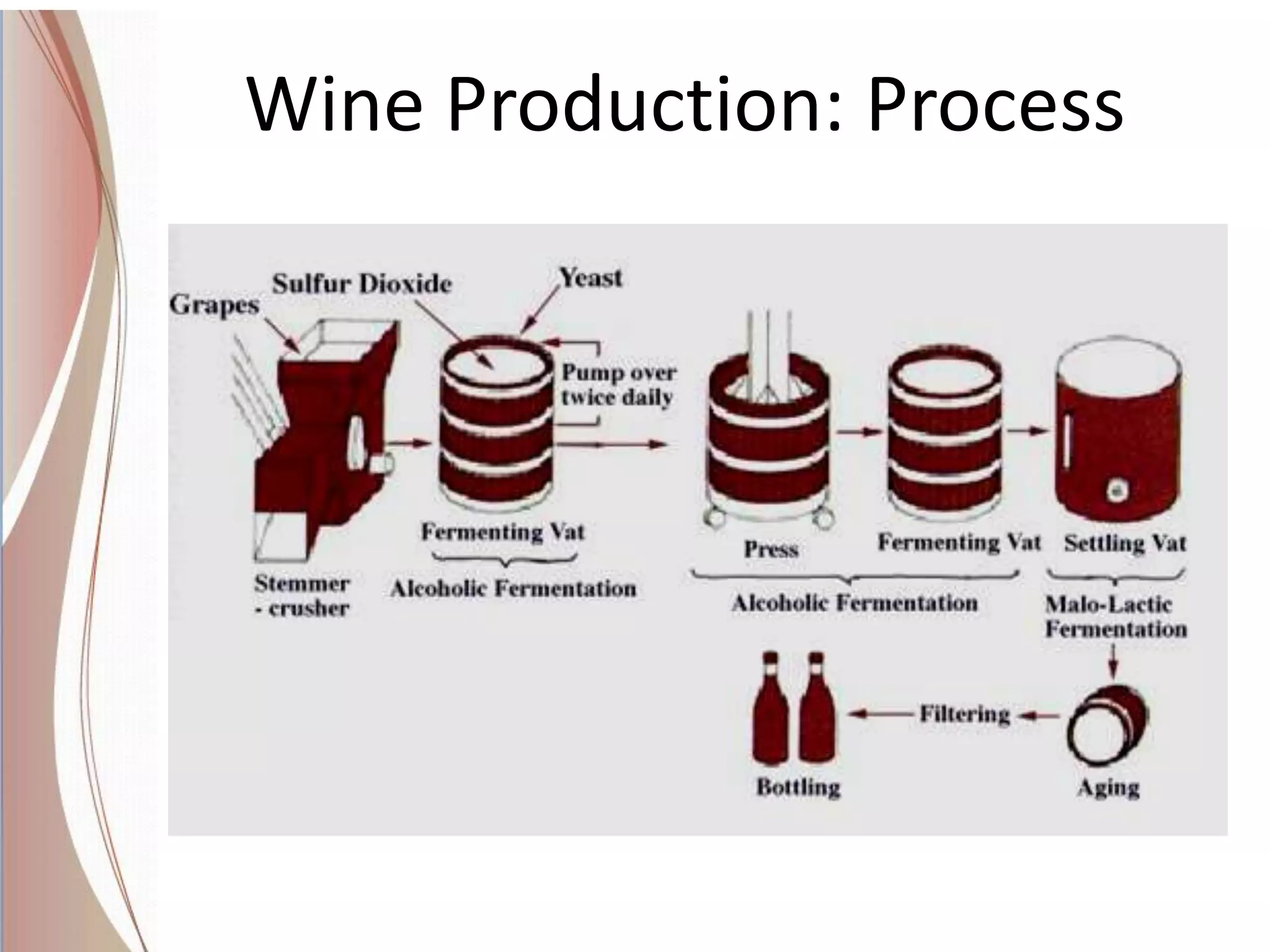 Wine production | PPTX