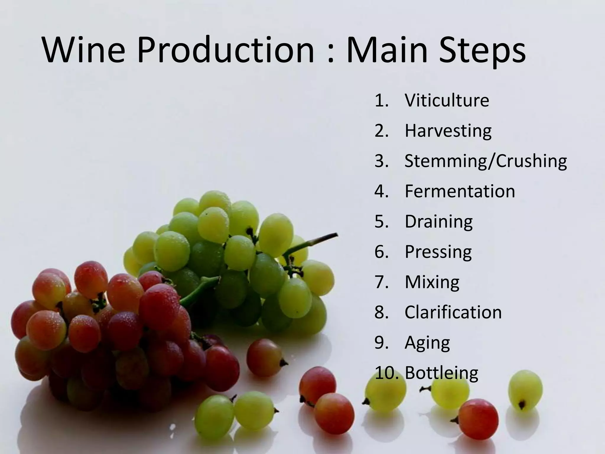 Wine production | PPTX
