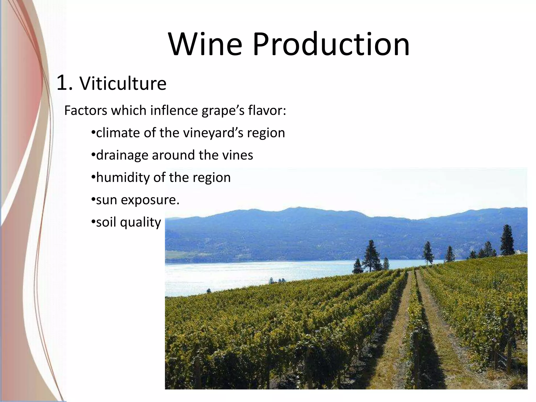 Wine production | PPTX