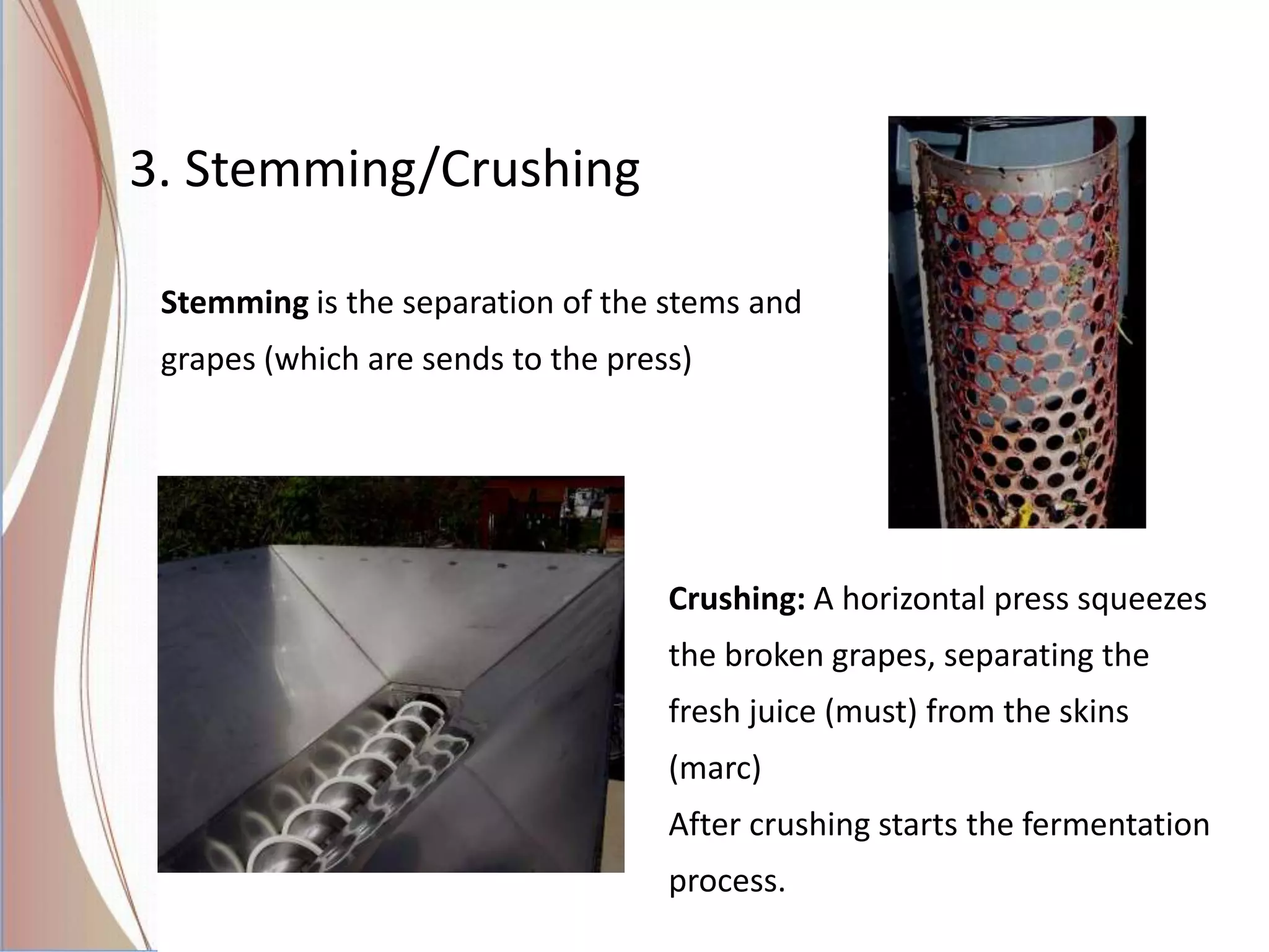 Wine production | PPTX