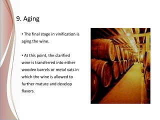 Wine production | PPTX