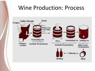 Wine production | PPTX