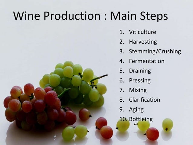Wine production | PPTX | Alcoholic Beverages | Food & Drink
