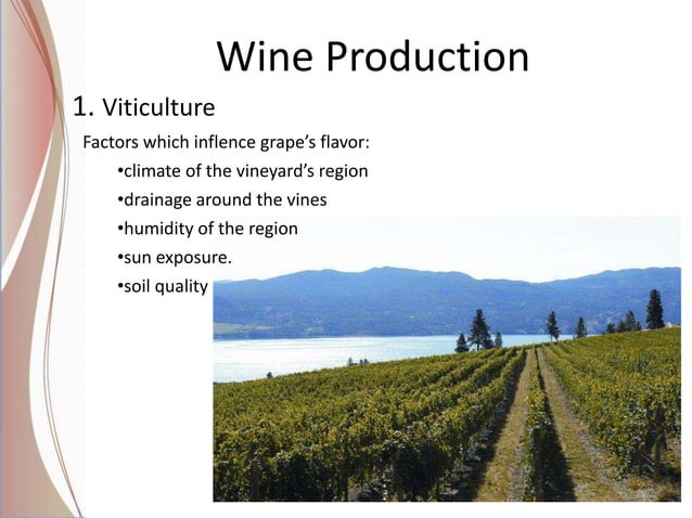 Wine production | PPTX | Alcoholic Beverages | Food & Drink