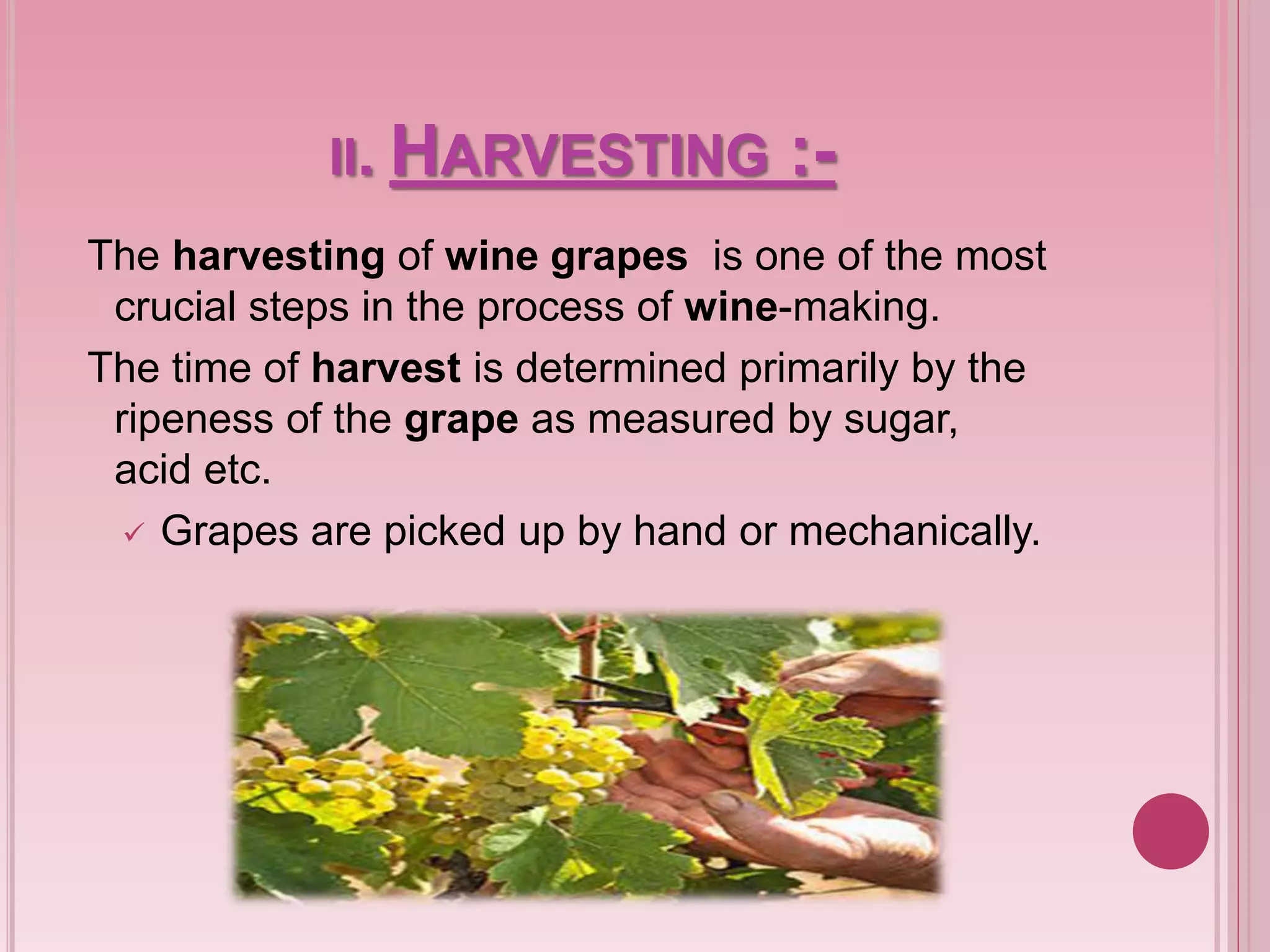 Wine production and its applications | PPTX