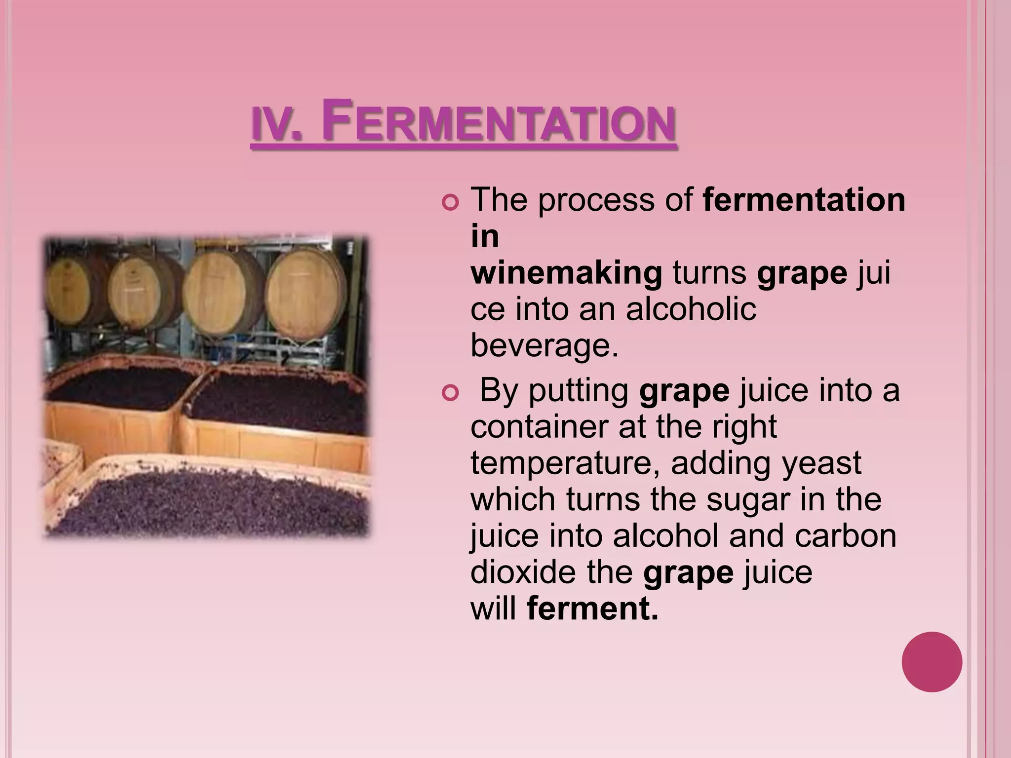 Wine production and its applications | PPTX